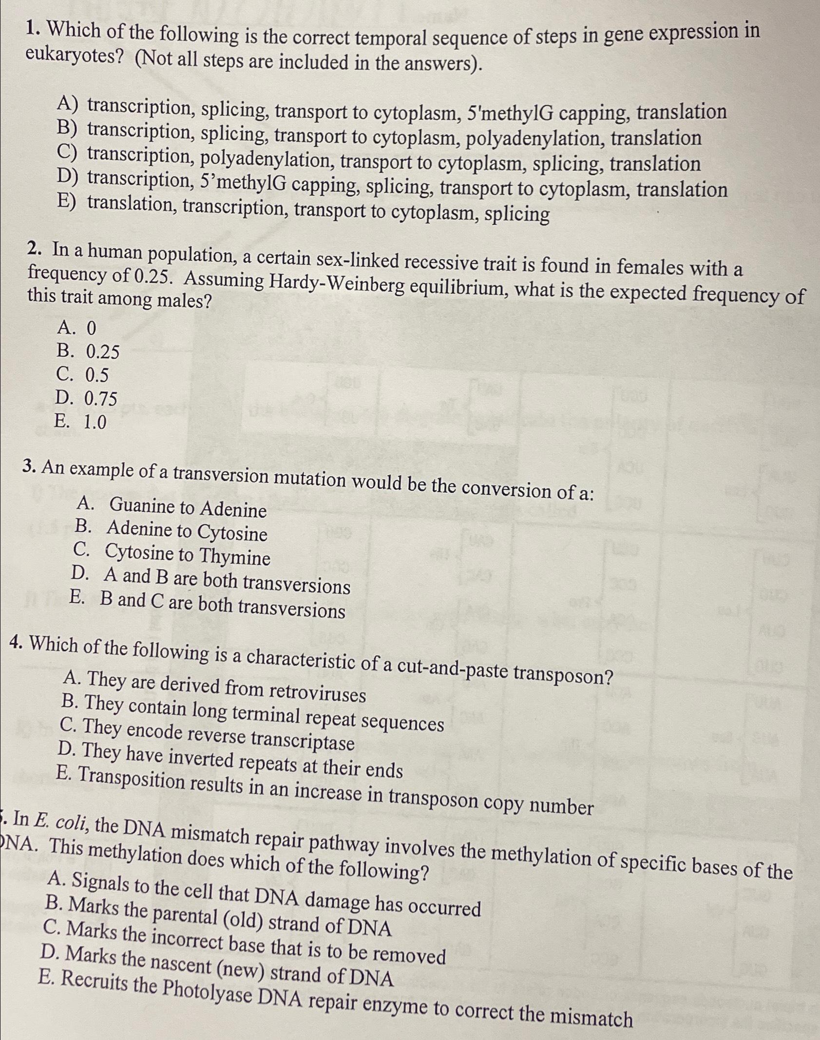Solved Which of the following is the correct temporal | Chegg.com