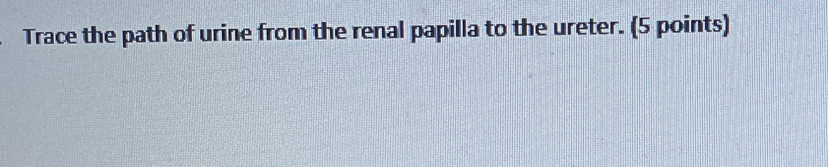 Solved Trace the path of urine from the renal papilla to the | Chegg.com