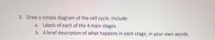 Solved 1. Draw out the process of mitosis by hand, | Chegg.com