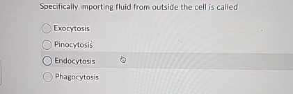 Solved Specifically importing fluid from outside the cell is | Chegg.com
