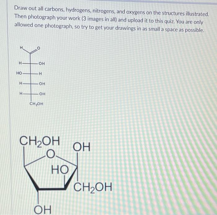 Solved Draw out all carbons, hydrogens, nitrogens, and | Chegg.com