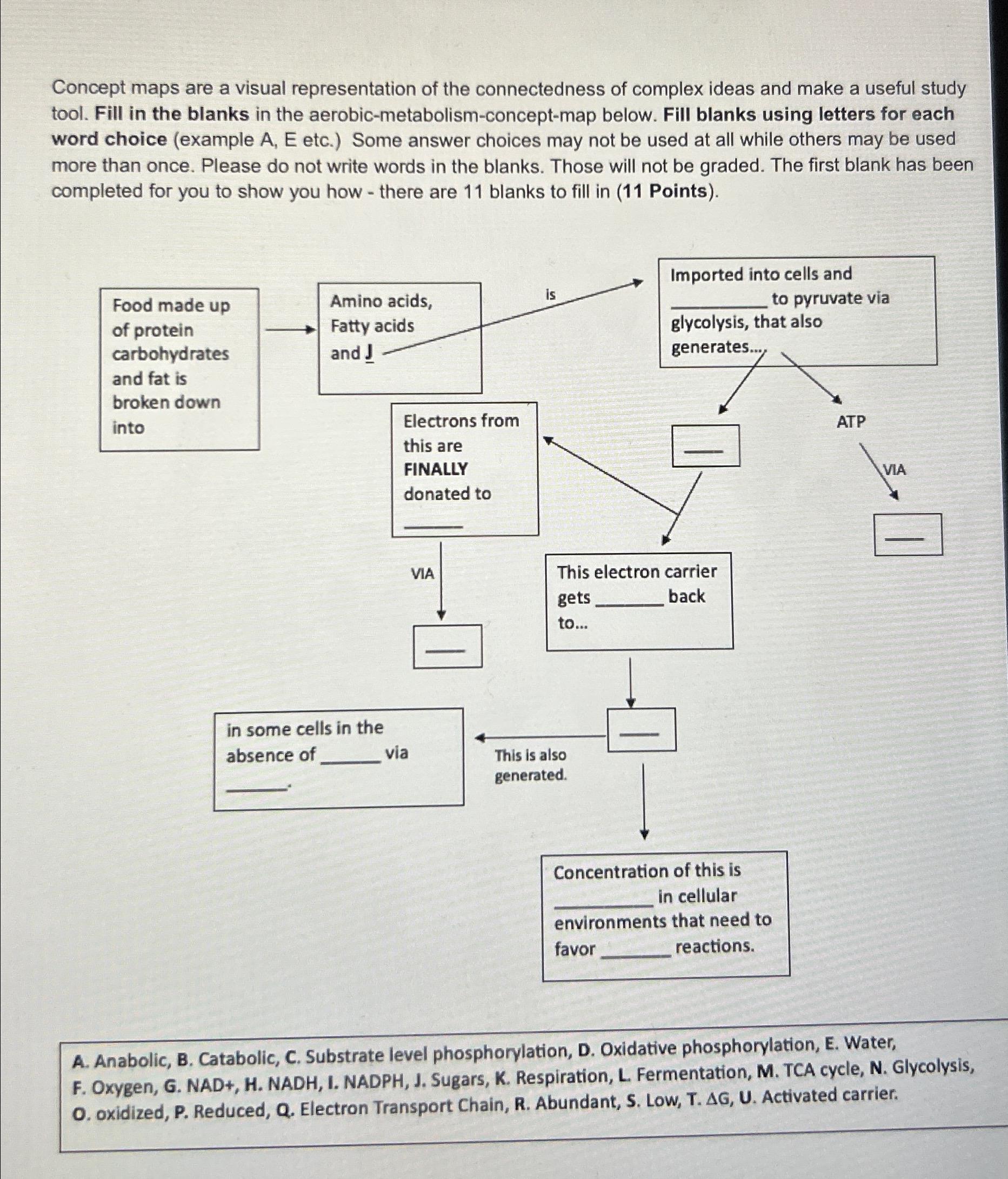 Solved Concept maps are a visual representation of the | Chegg.com