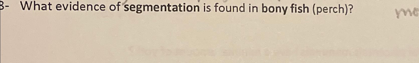 Solved B- ﻿What evidence of segmentation is found in bony | Chegg.com