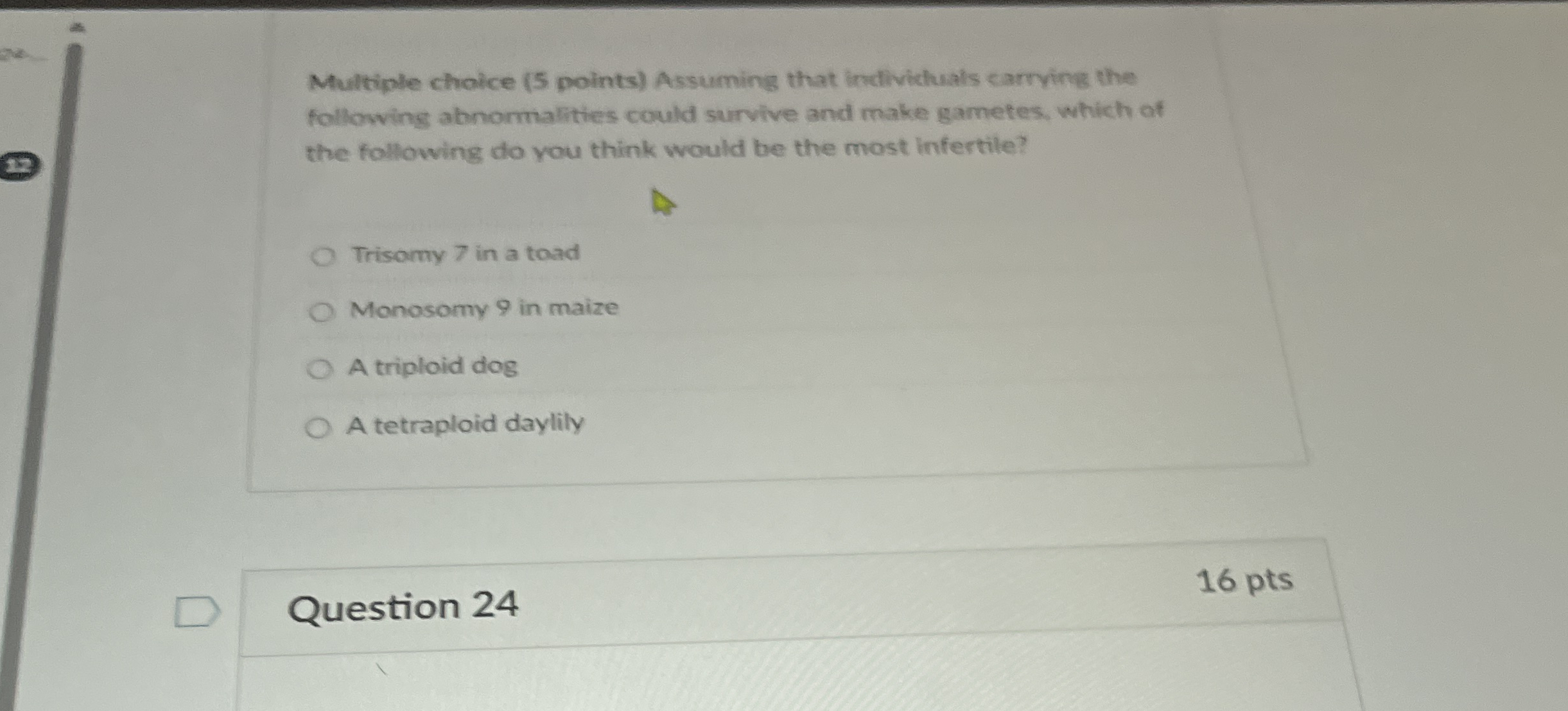 Solved Multiple choice ( 5 ﻿points) ﻿Assuming that | Chegg.com