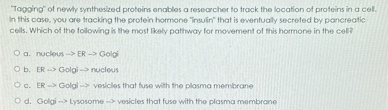 Solved "Tagging" of newly synthesized proteins enables a | Chegg.com
