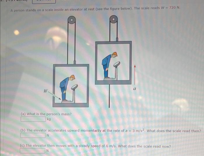 Solved A person stands on a scale inside an elevator at rest | Chegg.com