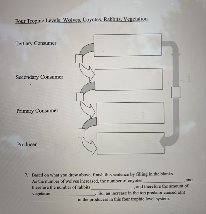 Solved Four Trophic Levels: Wolves, Coyotes, Rabbits, | Chegg.com