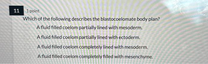 Solved 1 point Which of the following describes the | Chegg.com