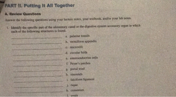 Solved PART II. Putting It All Together A. Review Questions | Chegg.com
