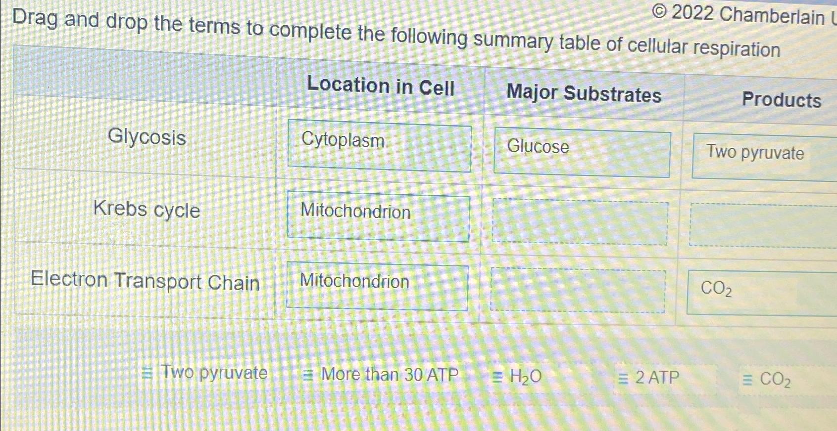 Solved Drag and drop the terms to complete the following | Chegg.com