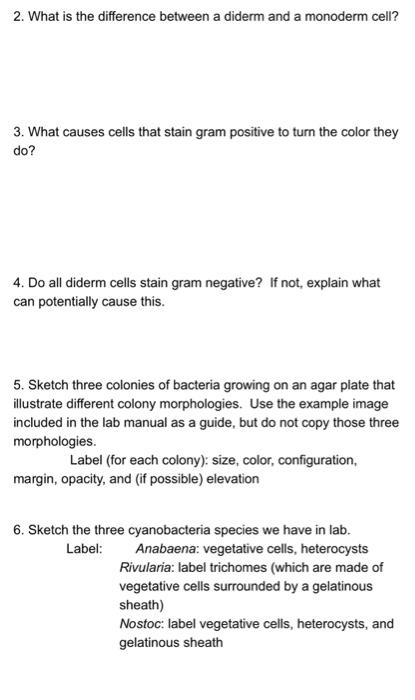 Solved 2. What is the difference between a diderm and a | Chegg.com