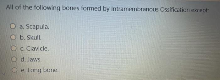 Solved All of the following bones formed by Intramembranous | Chegg.com