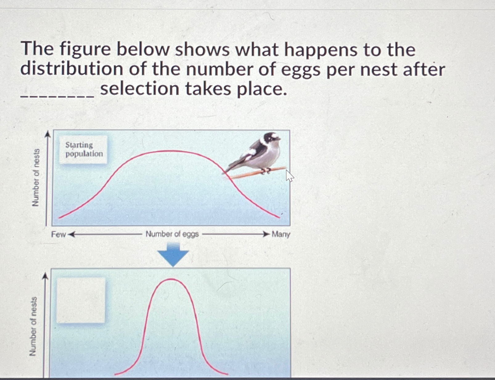 Solved The figure below shows what happens to the | Chegg.com