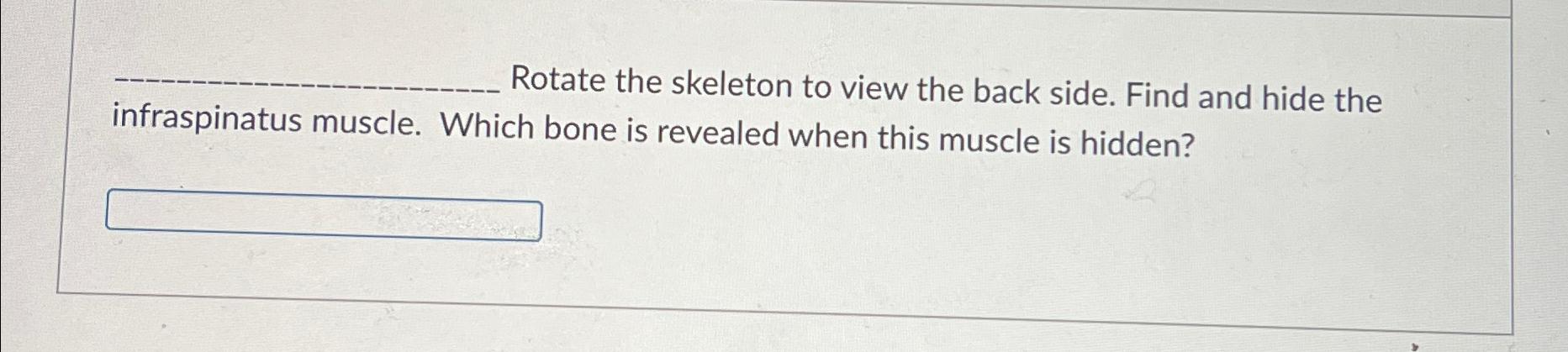 Solved Rotate the skeleton to view the back side. Find and | Chegg.com