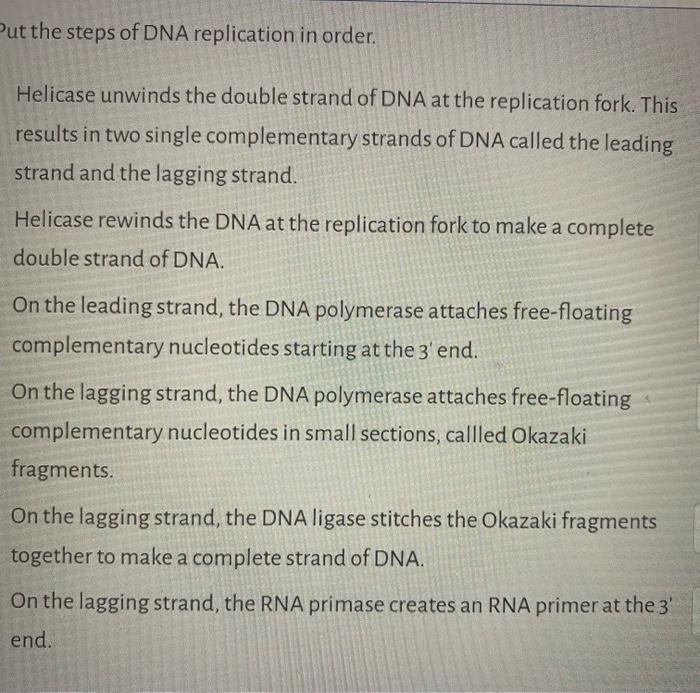 Solved ut the steps of DNA replication in order. Helicase | Chegg.com