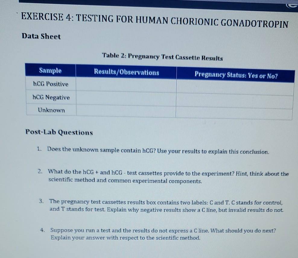 Solved EXERCISE 4: TESTING FOR HUMAN CHORIONIC GONADOTROPIN | Chegg.com