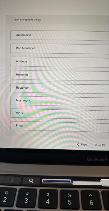 Rank the options below. | Chegg.com