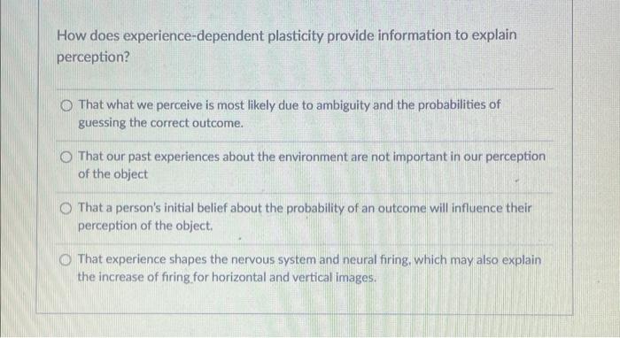 Solved How does experience-dependent plasticity provide | Chegg.com