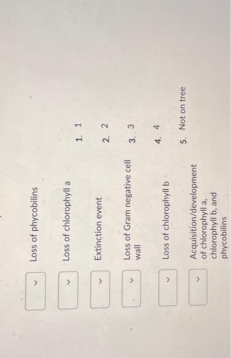 Solved Using a selection of the terms below, label | Chegg.com
