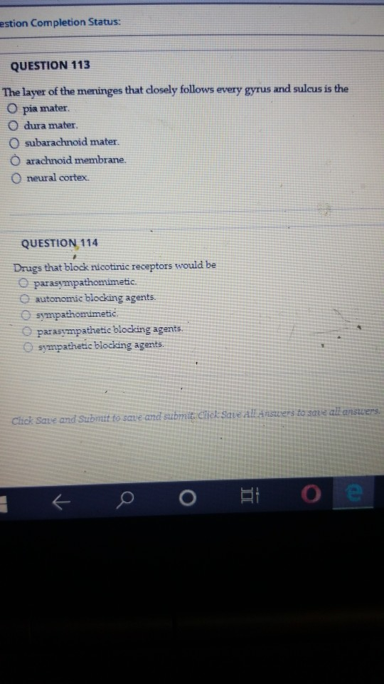 Solved estion Completion Status: QUESTION 113 The layer of | Chegg.com Solved estion Completion Status: QUESTION 113 The layer of | Chegg.com