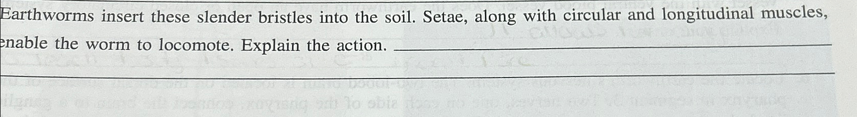 Solved Earthworms insert these slender bristles into the | Chegg.com