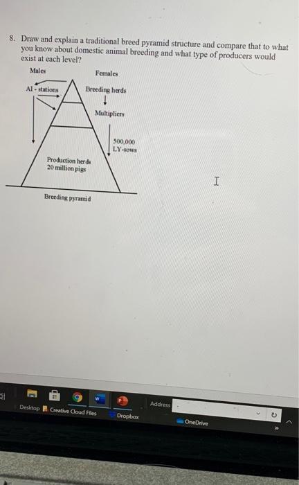 Solved 8. Draw and explain a traditional breed pyramid | Chegg.com