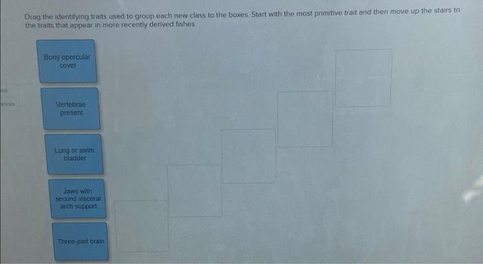 Solved Drag the identifying traits used to group each new | Chegg.com