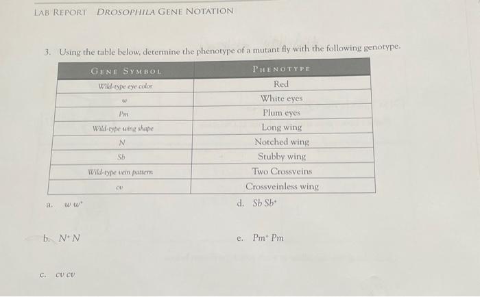 Solved LAB REPORT DROSOPHILA GENE NOTATION 3. Using the | Chegg.com