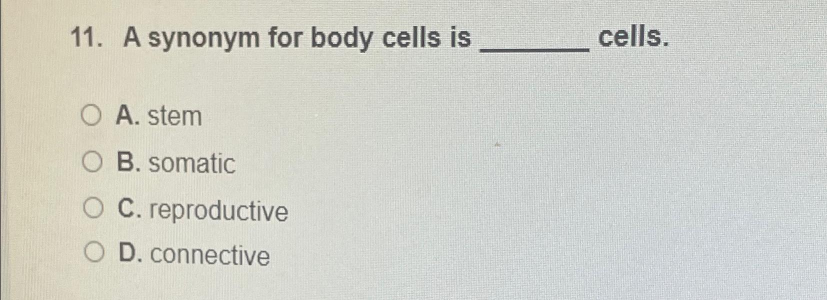 Solved A synonym for body cells is cells.A. ﻿stemB. | Chegg.com