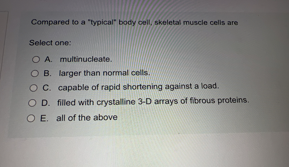 Solved Compared to a "typical" body cell, skeletal muscle | Chegg.com