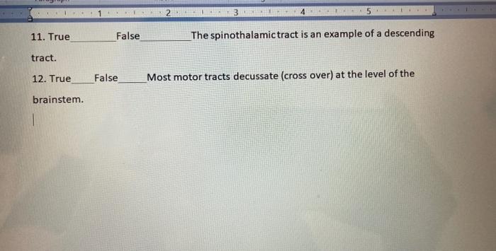 Solved 2 3 11. True False The spinothalamic tract is an | Chegg.com