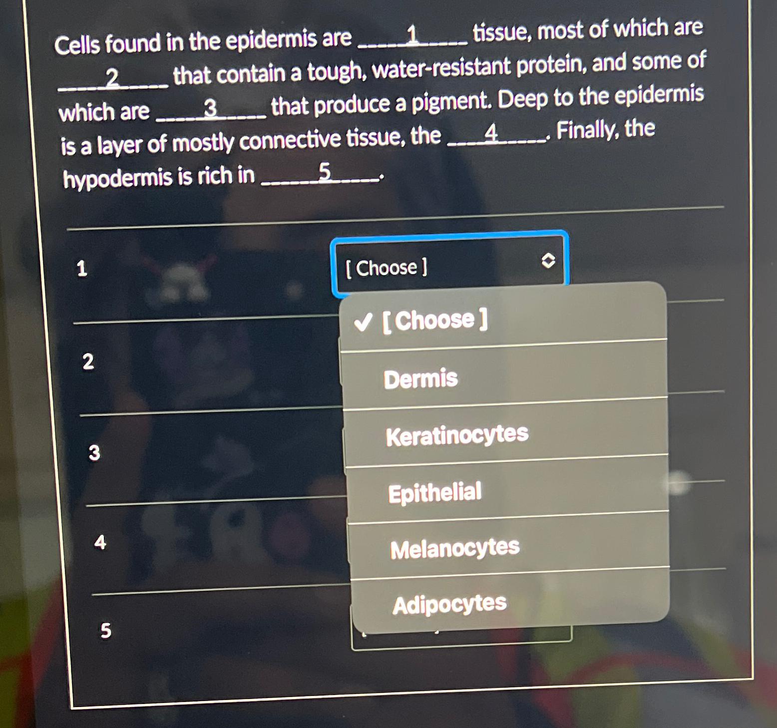 Solved Cells found in the epidermis are 1 ﻿tissue, most of | Chegg.com