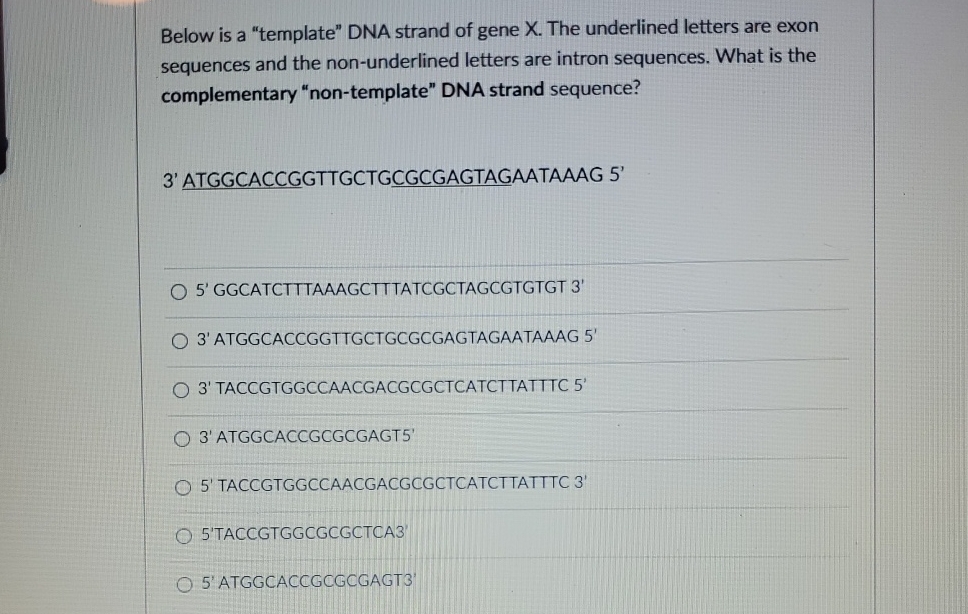 Solved Below is a "template" DNA strand of gene X. ﻿The | Chegg.com