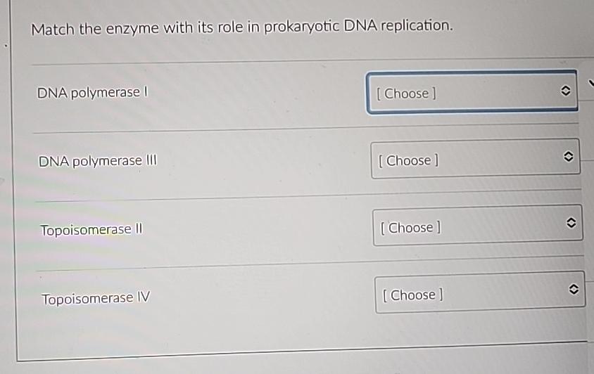 Solved Match the enzyme with its role in prokaryotic DNA | Chegg.com