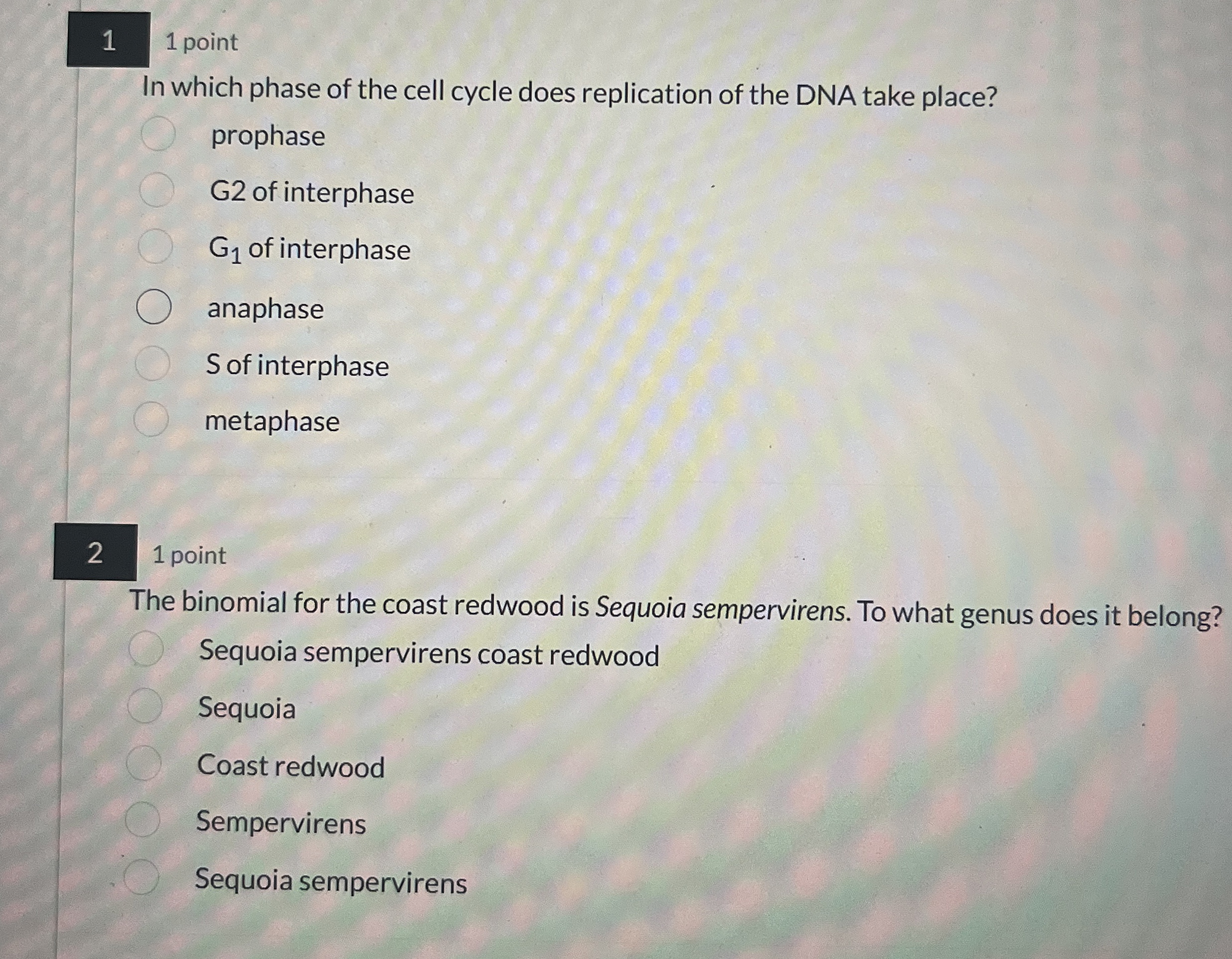 Solved 11 ﻿pointIn which phase of the cell cycle does | Chegg.com