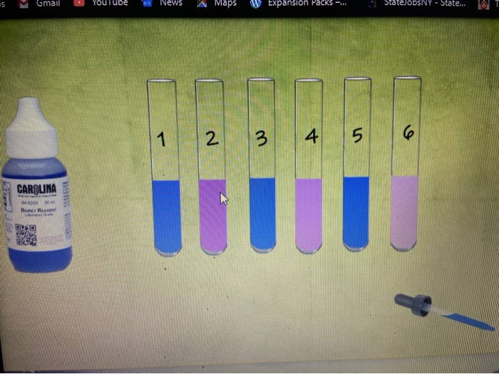 Solved Biuret's Solution Tests for proteins - A positive | Chegg.com