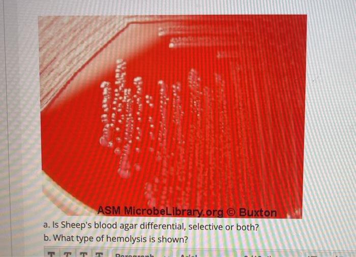 Solved etete ASM MicrobeLibrary.org © Buxton a. Is Sheep's | Chegg.com