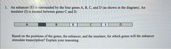 Solved An enhancer (E) is surrounded by the four genes A, B, | Chegg.com