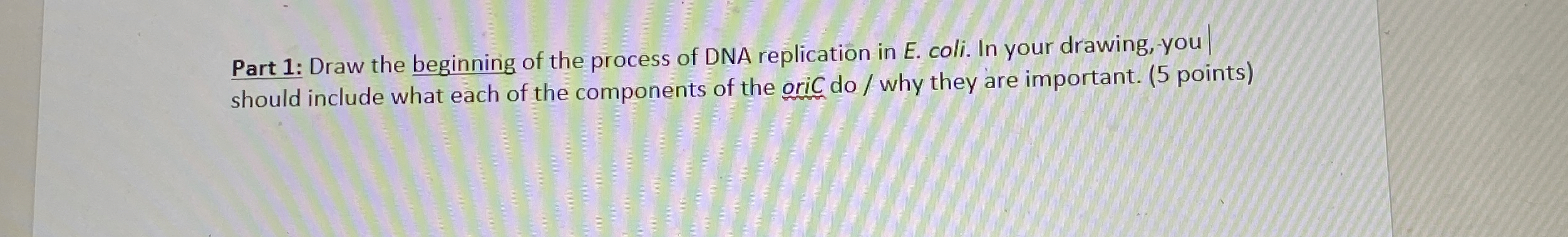 Solved Part 1: Draw the beginning of the process of DNA | Chegg.com