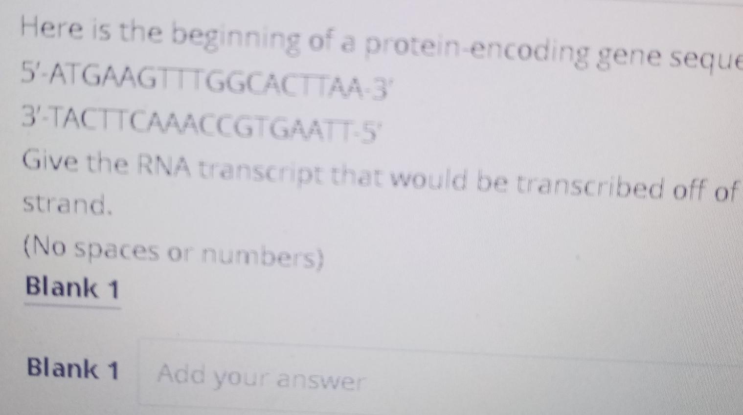Solved Here is the beginning of a protein-encoding gene | Chegg.com