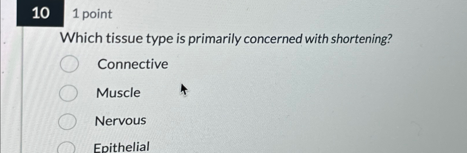 Solved 101 ﻿pointWhich tissue type is primarily concerned | Chegg.com
