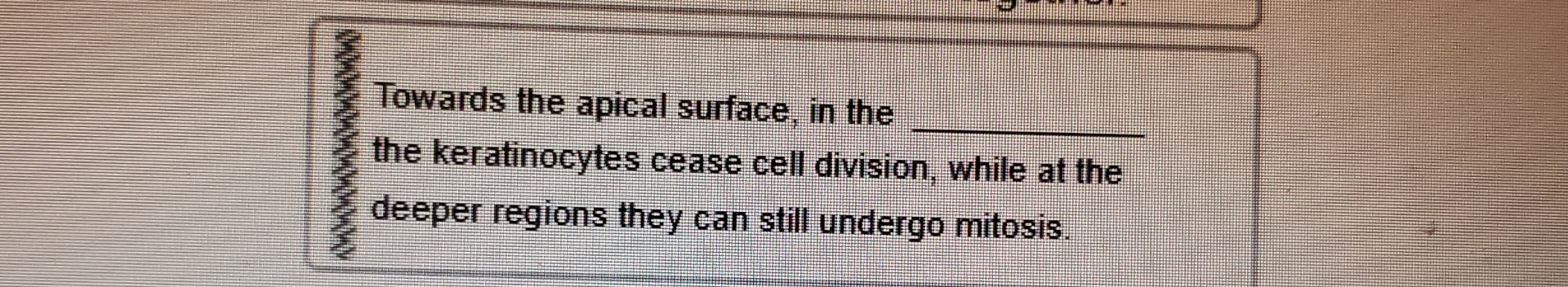 Solved Towards the apical surface, in the q, ﻿the | Chegg.com