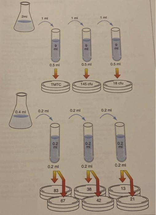 Solved 1. Give the dilution and dilution factor for: a) 0.1 | Chegg.com