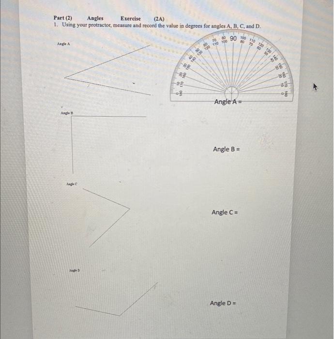 Solved Part (2) Angles Exercise (2A) 1. Using your | Chegg.com