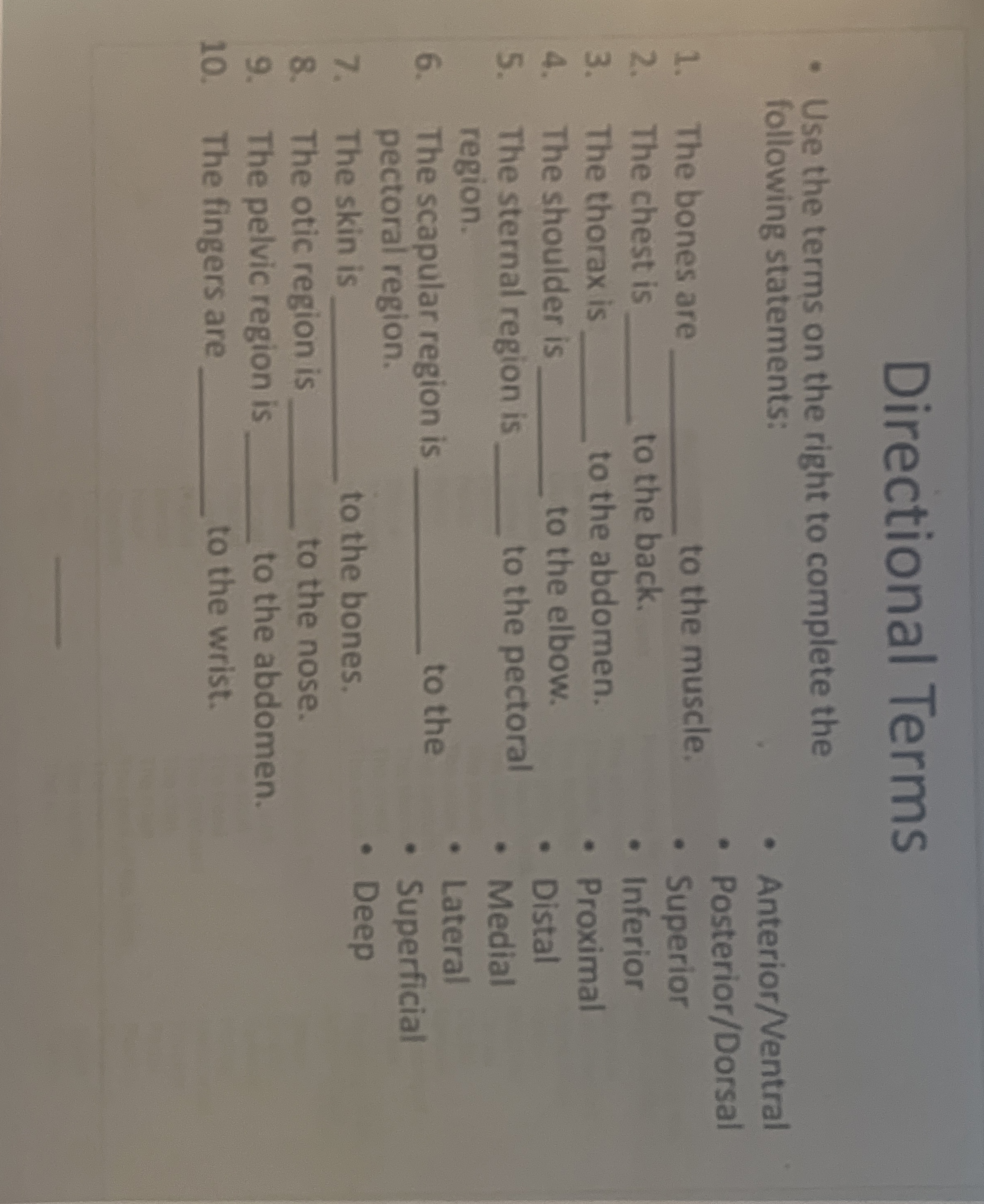 Solved Directional TermsUse the terms on the right to | Chegg.com