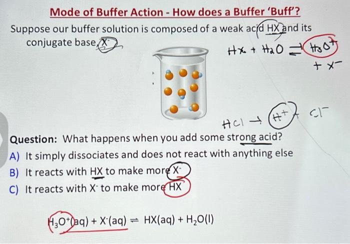 Solved Mode of Buffer Action - How does a Buffer 'Buff'? | Chegg.com