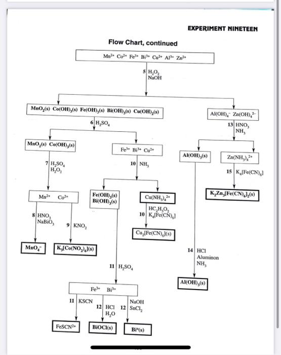 Solved Experiment 19 Qualitative Analysis of Cations | Chegg.com