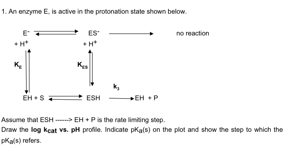 Solved An enzyme E, ﻿is active in the protonation state | Chegg.com