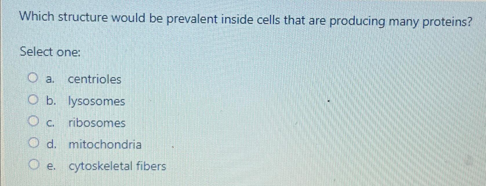 Solved Which structure would be prevalent inside cells that | Chegg.com