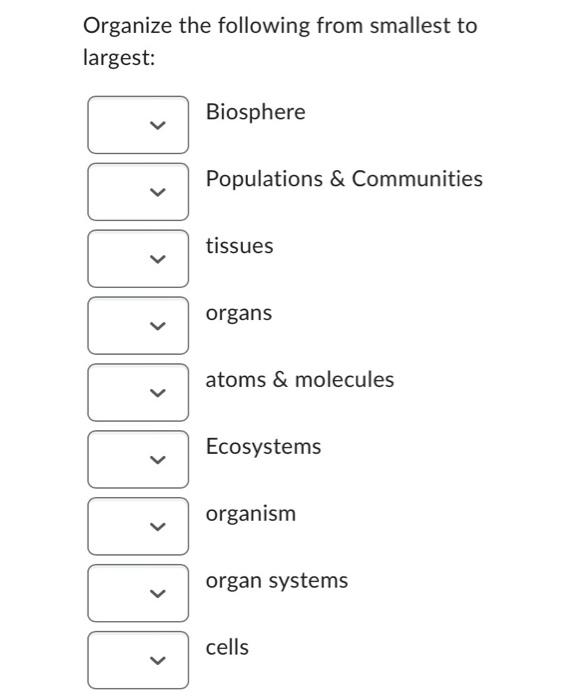 Solved Organize the following from smallest to largest: | Chegg.com